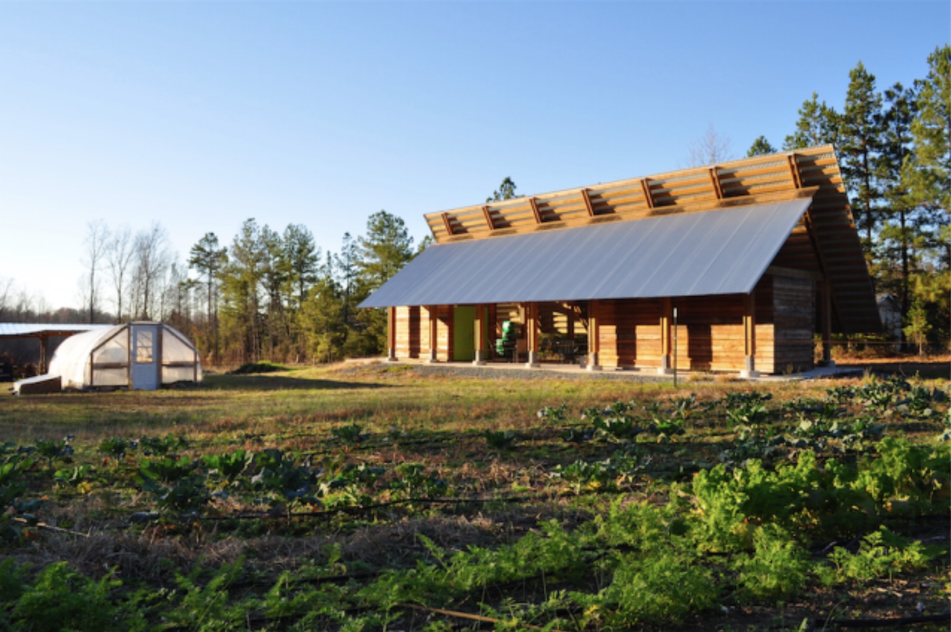 Visit The Farm - Benevolence Farm